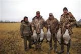 Huge honkers - Big Grass Outfitters